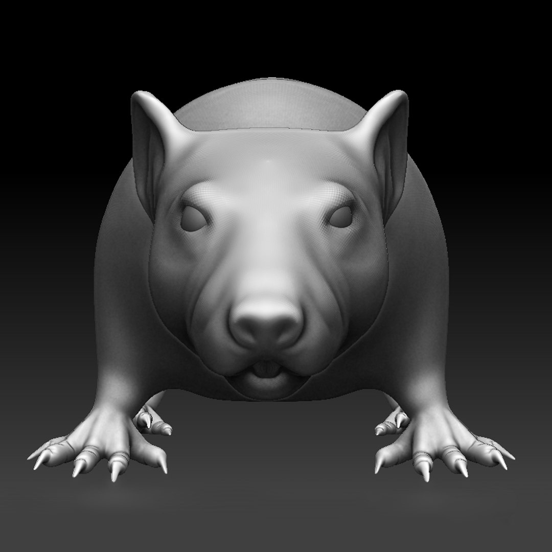 3d High-res Sculpted Rat Model