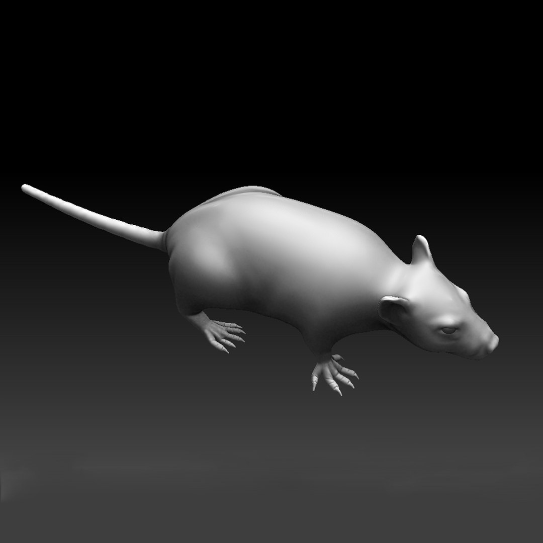 3d High-res Sculpted Rat Model