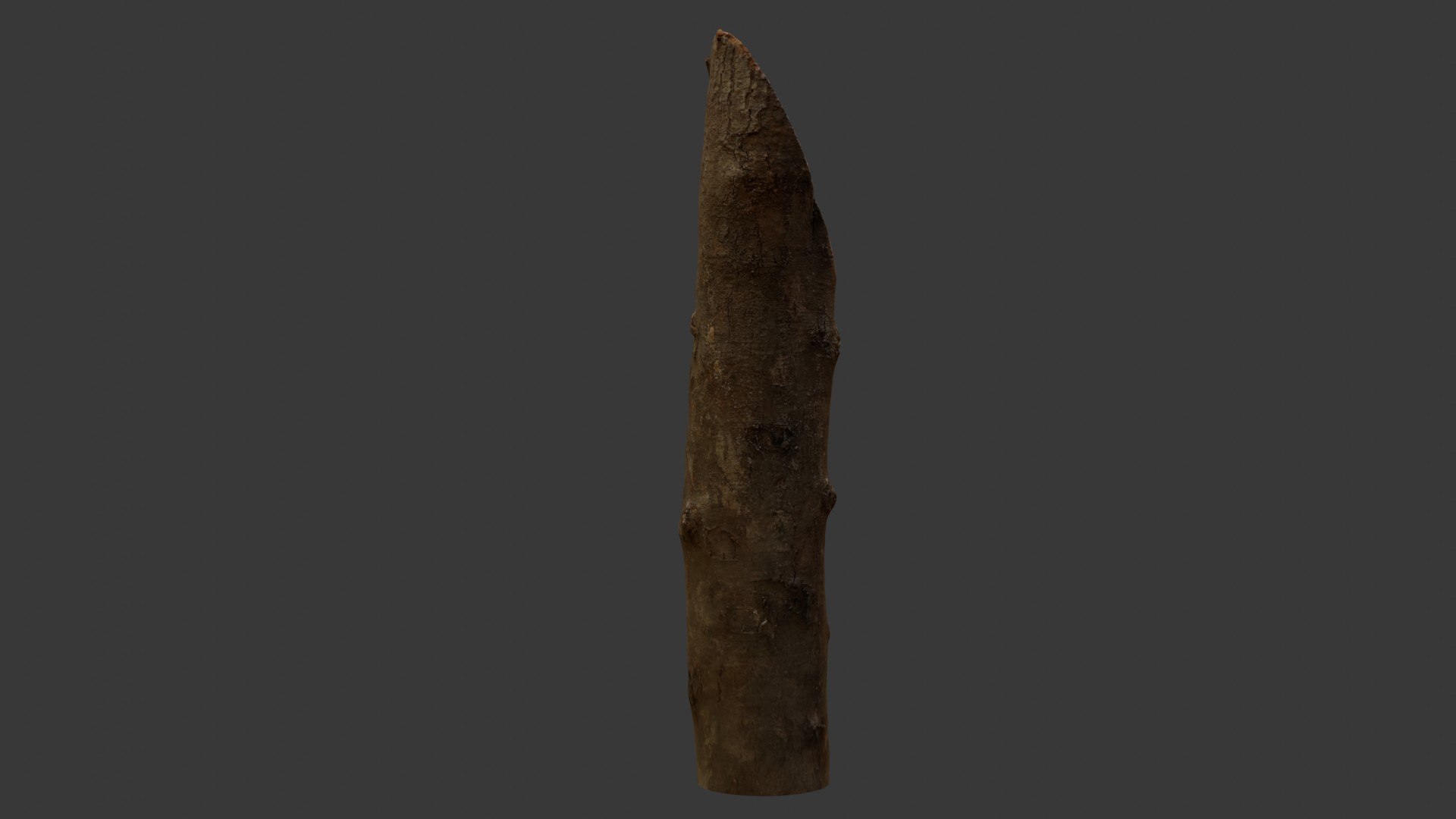 3D Wooden Branch 3D Scan - TurboSquid 2404847
