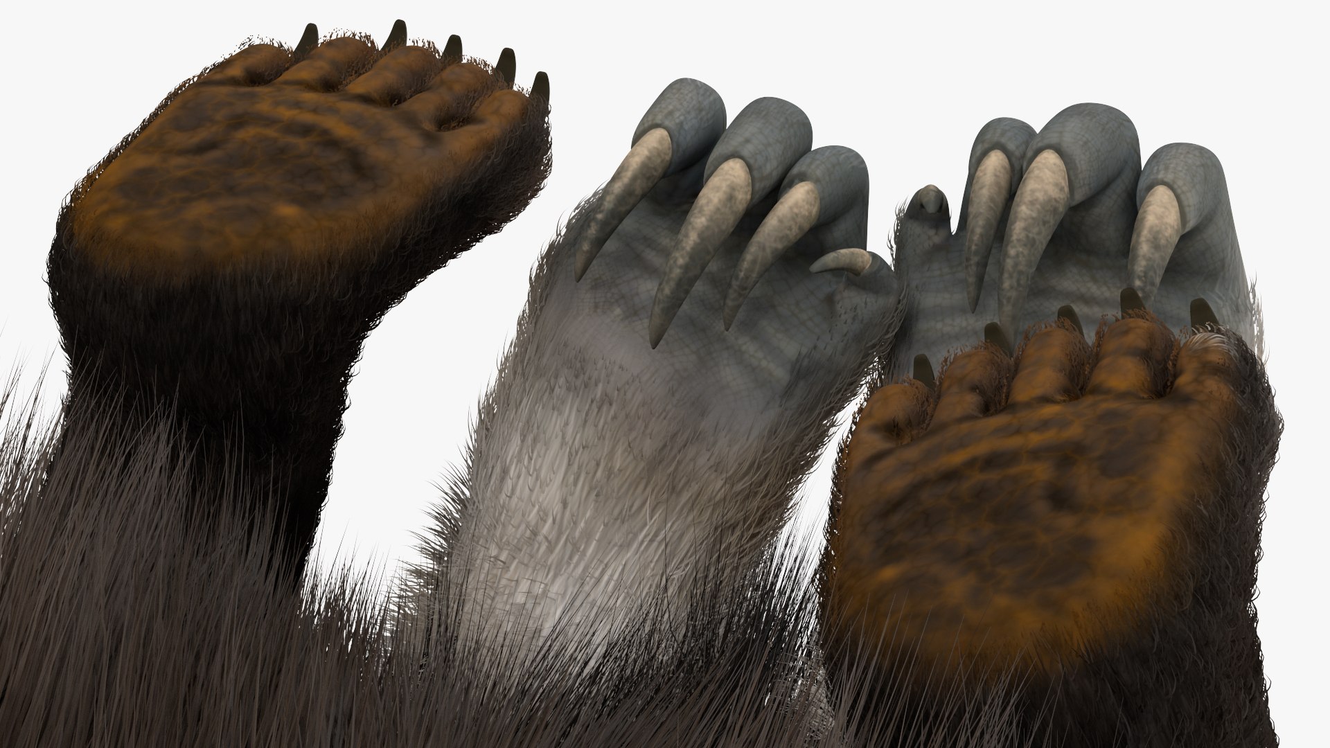 3D Anteater Sitting Pose Fur - TurboSquid 1839224