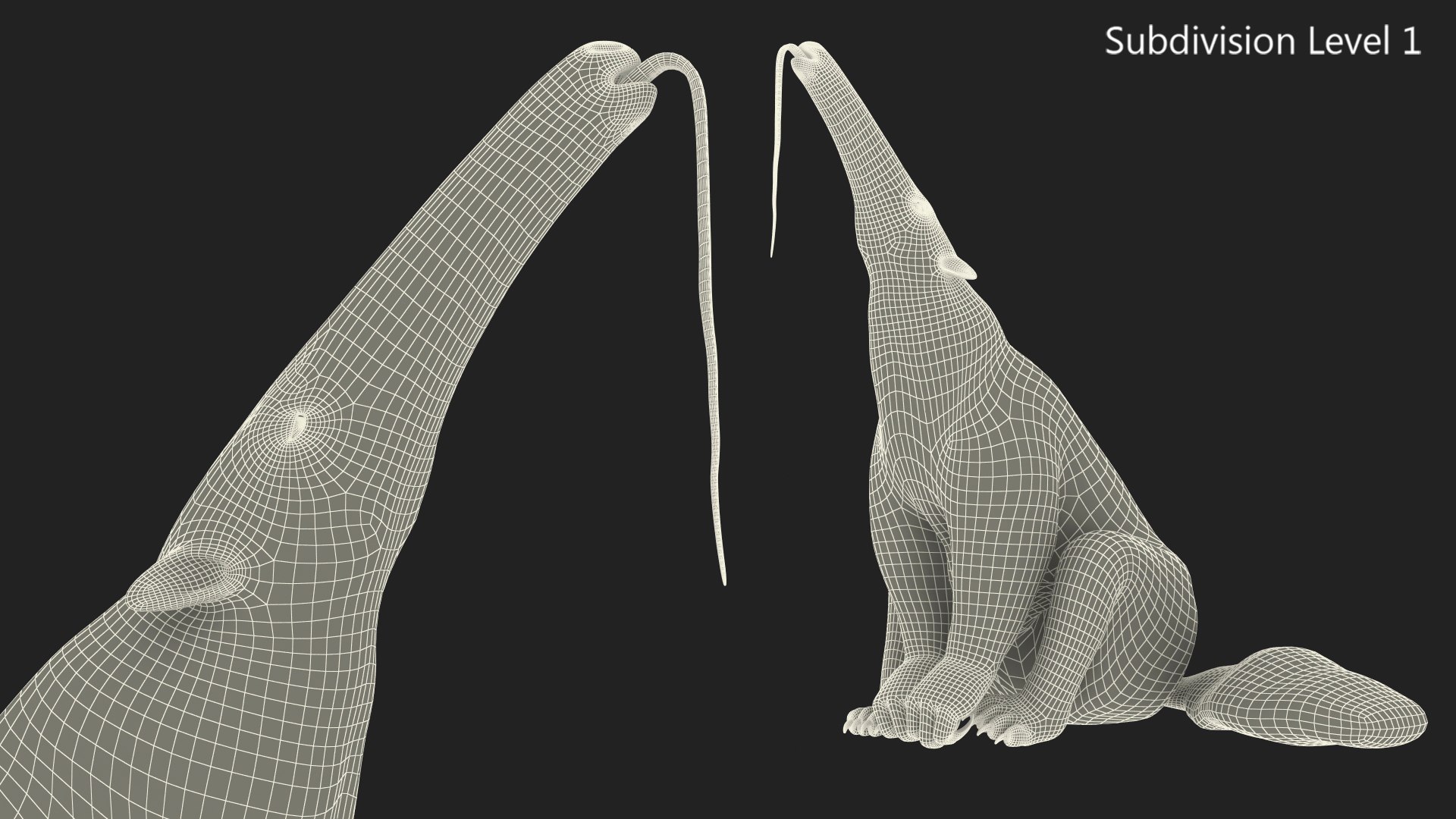 3D Anteater Sitting Pose Fur - TurboSquid 1839224