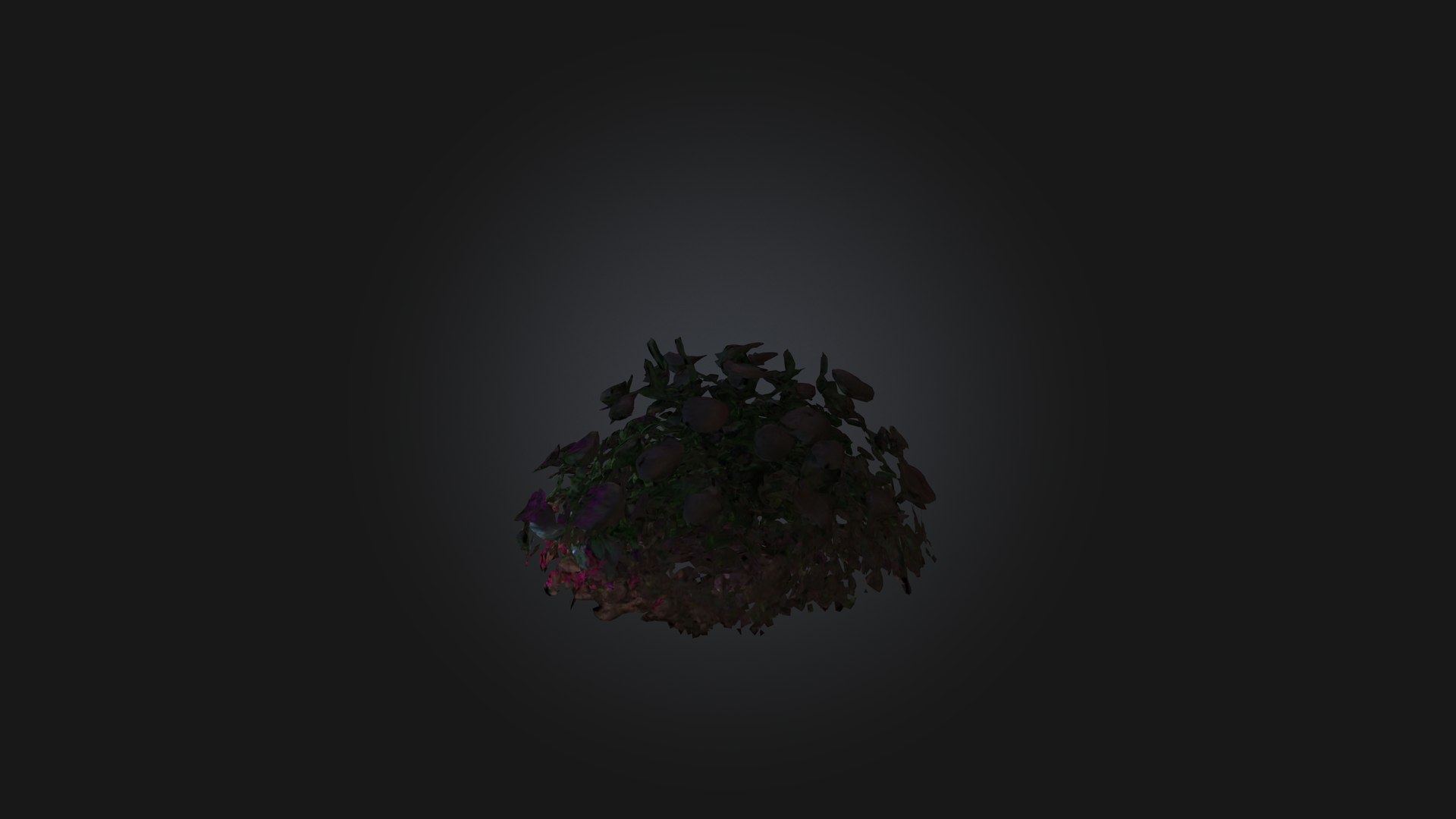Flower Bed - TurboSquid 2293080