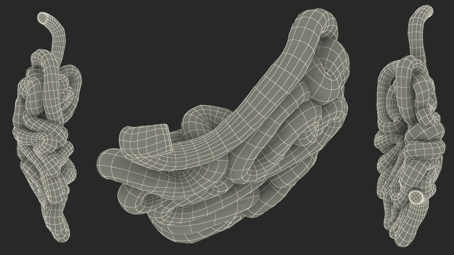 3D Model Human Small Intestine - TurboSquid 1459201