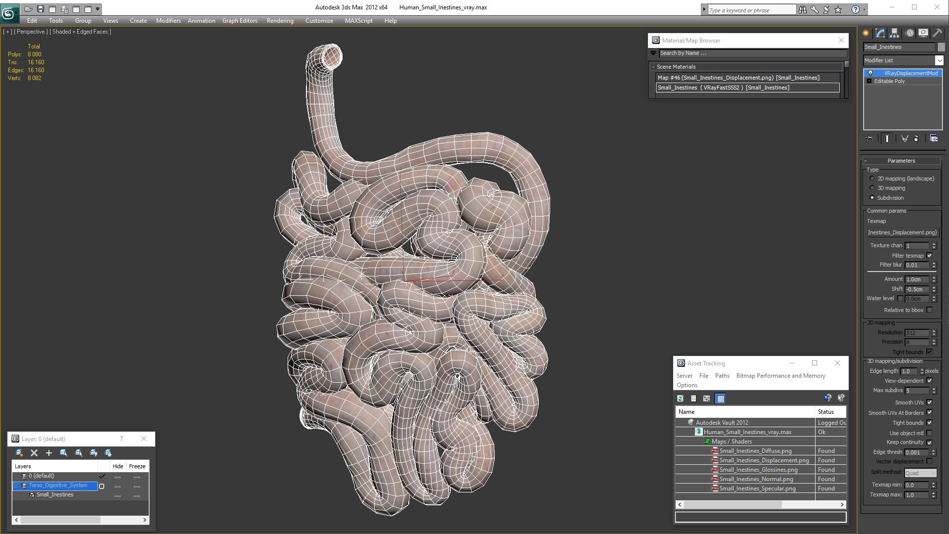3D Model Human Small Intestine - TurboSquid 1459201