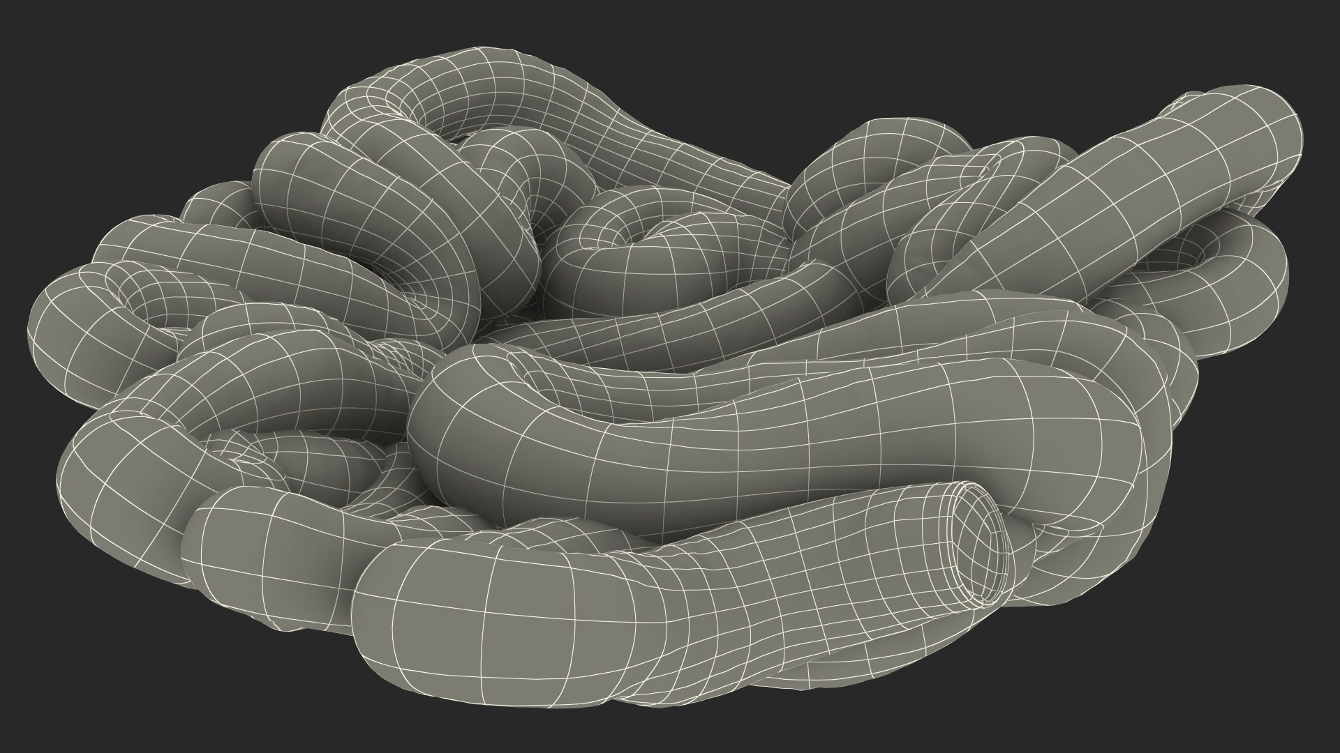 3D Model Human Small Intestine - TurboSquid 1459201