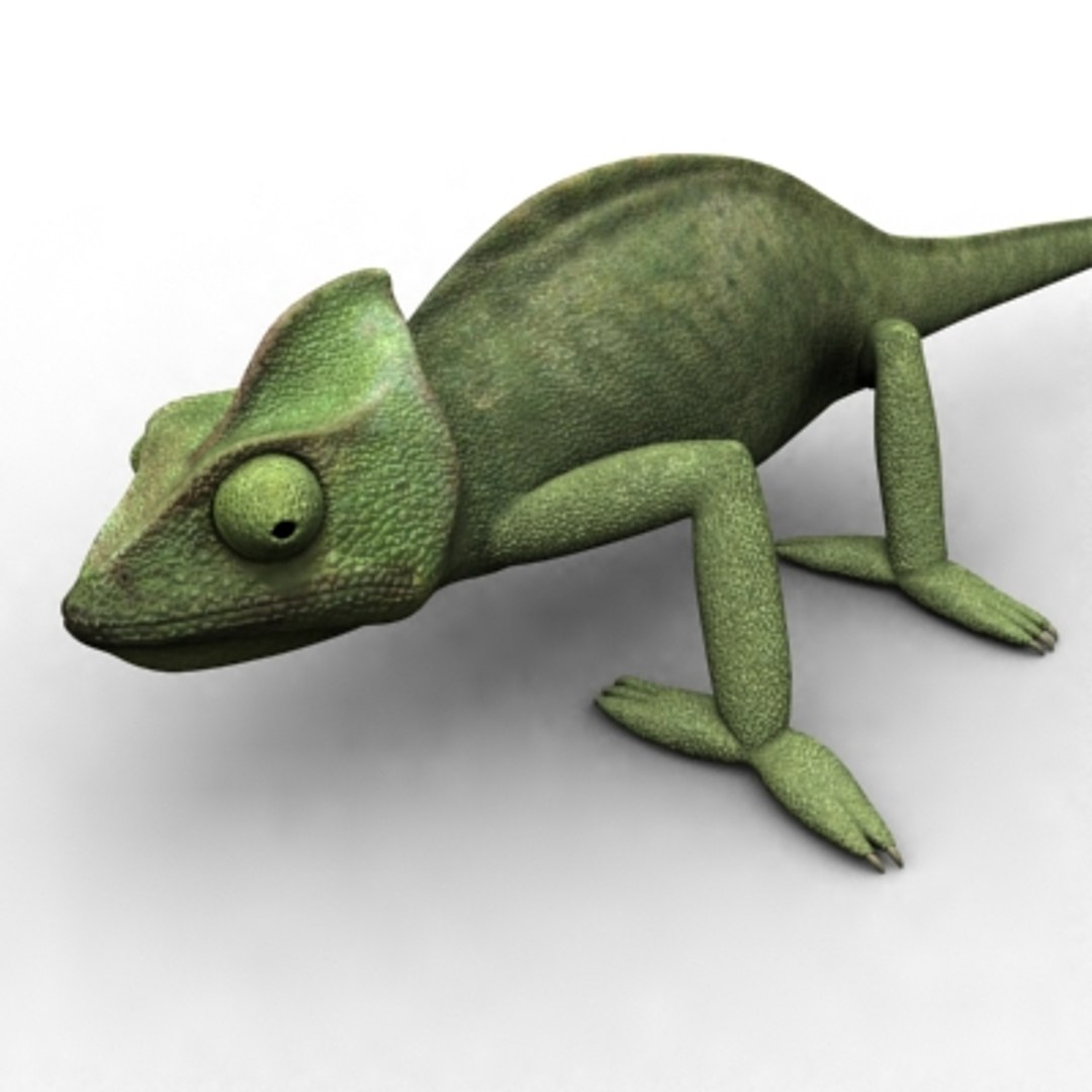 chameleon 3d model