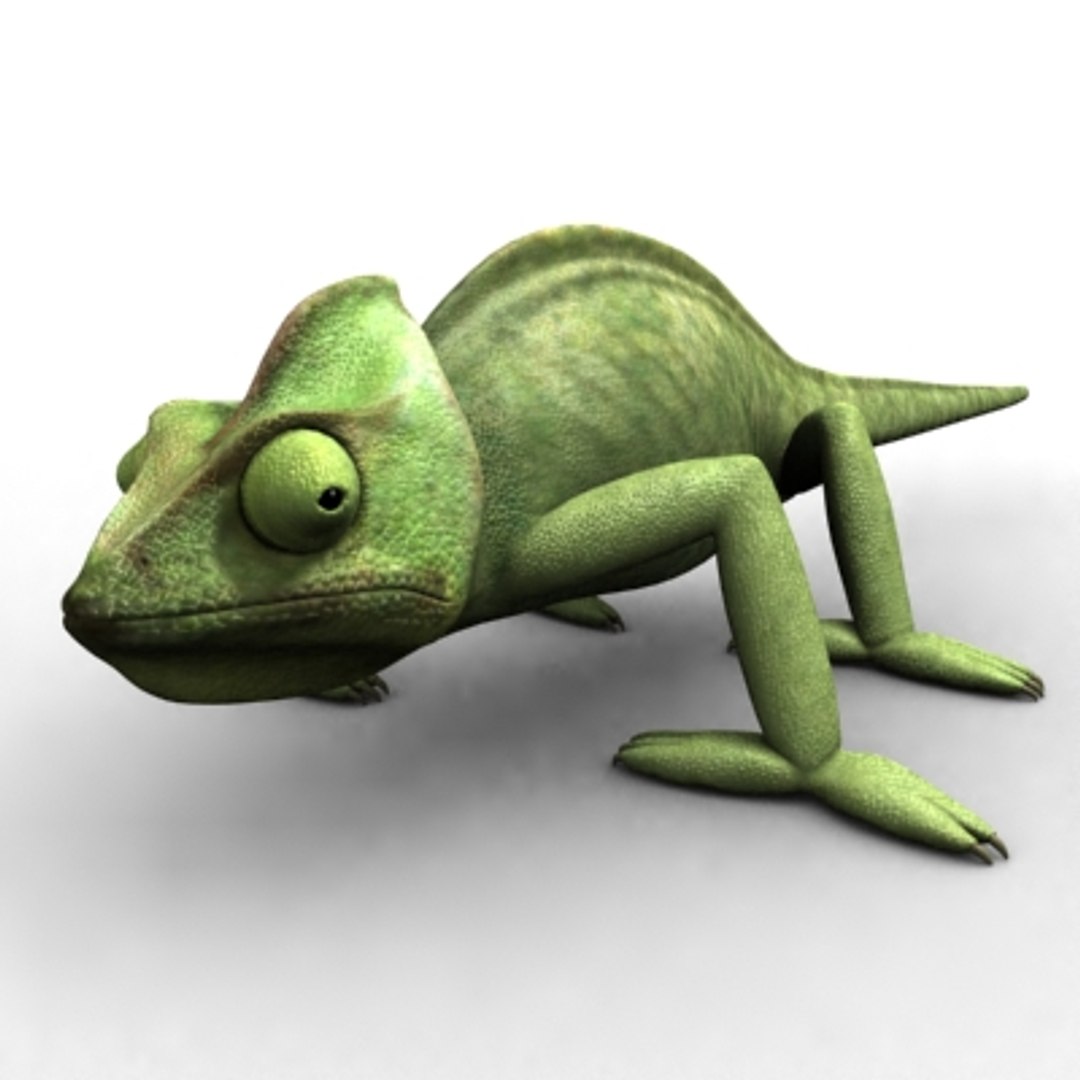 chameleon 3d model