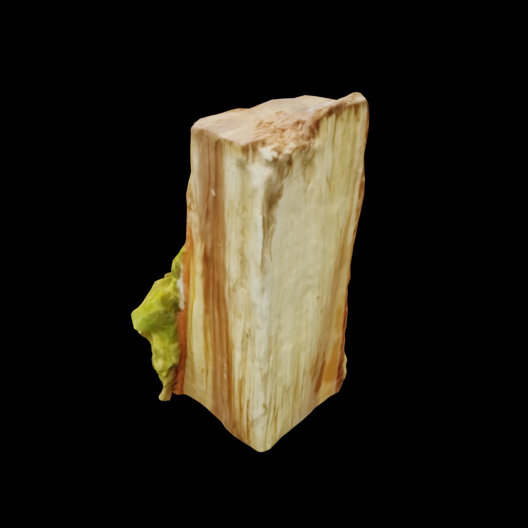Chunk Wood 3D Model - TurboSquid 1387403
