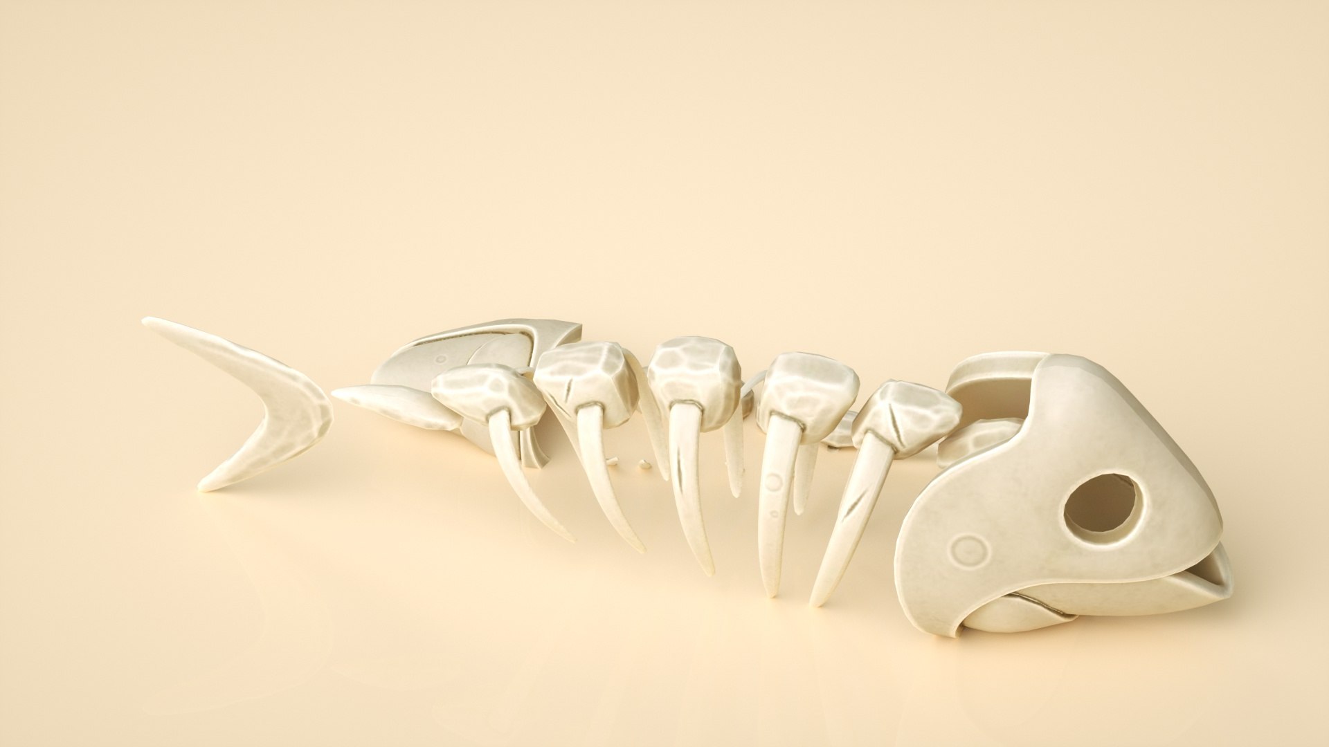 3D model fish bone fossil - TurboSquid 1922083