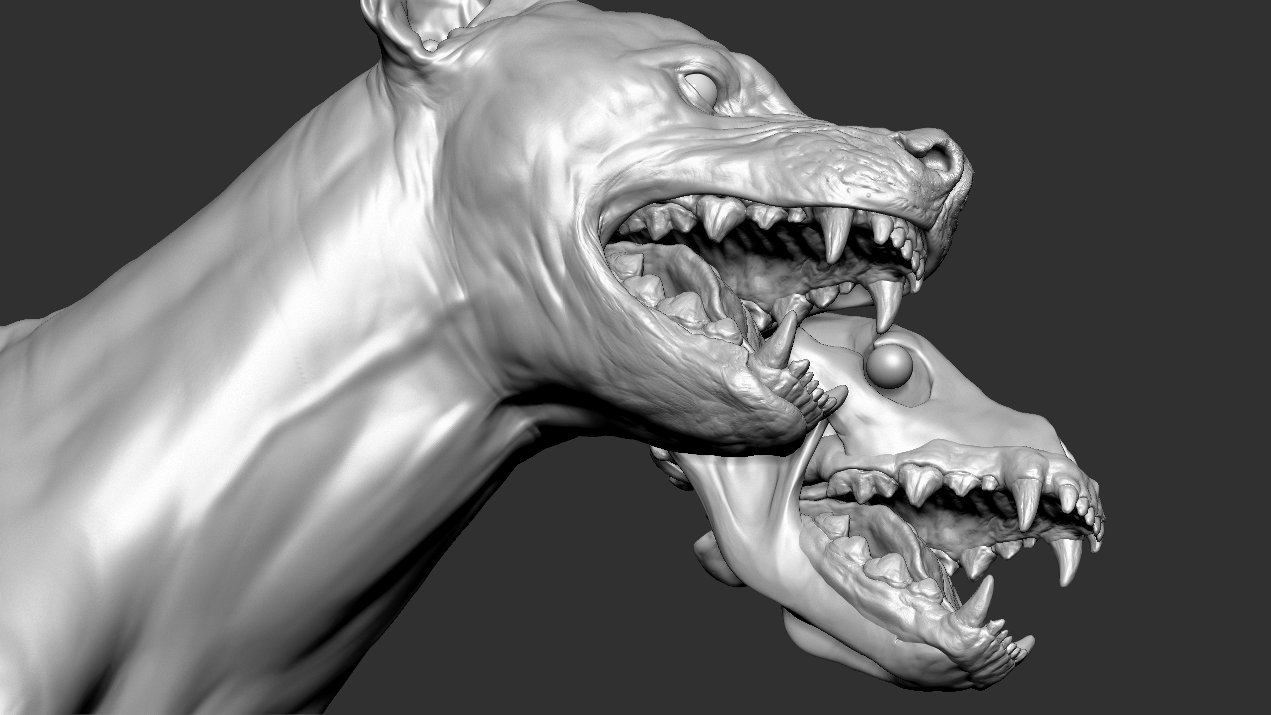 3D hyena facial expressions - TurboSquid 1648277