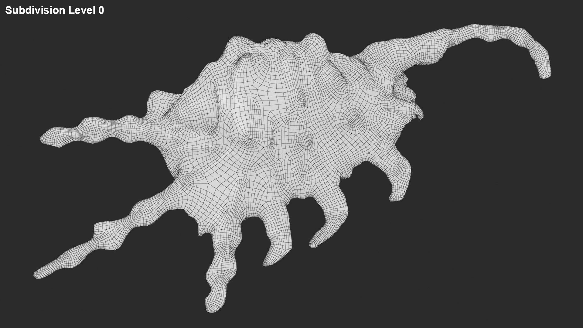 Scorpion Spider Conch 3D Model - TurboSquid 2146652