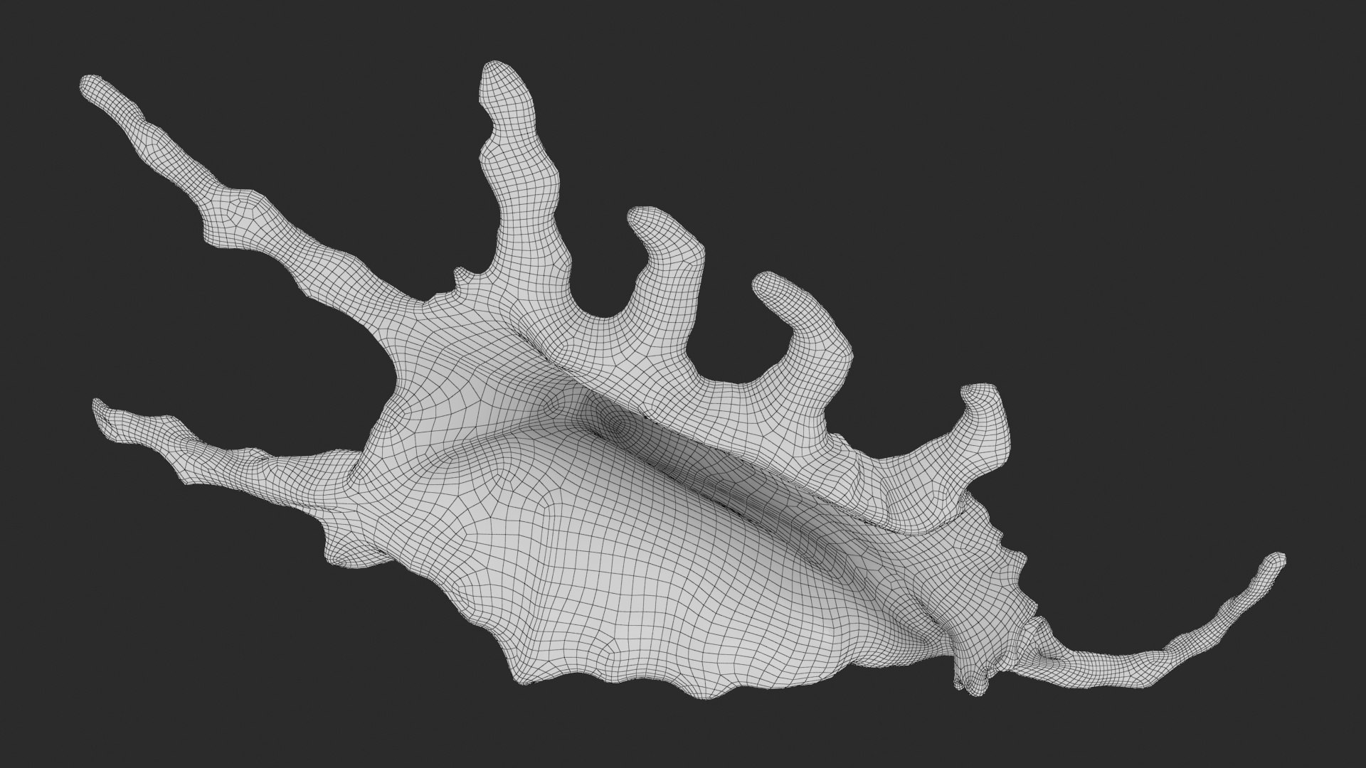 Scorpion Spider Conch 3D Model - TurboSquid 2146652
