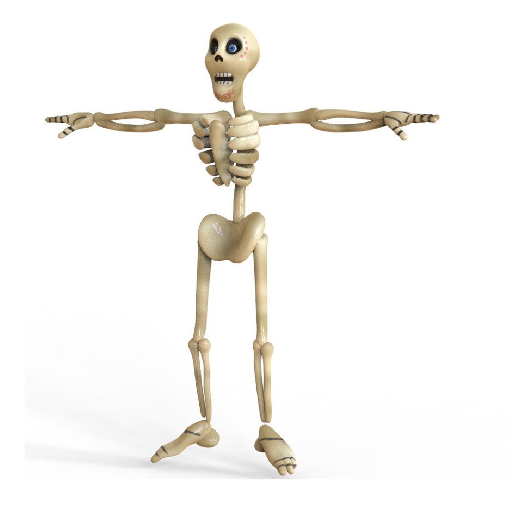 Skeleton Toon 3D Model - TurboSquid 1336997