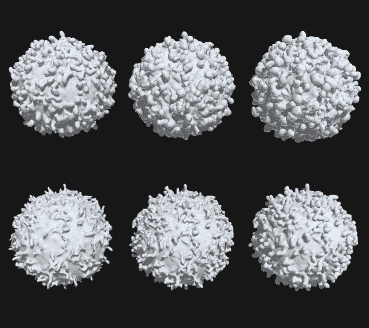 3D Blood Leukocyte Cells - TurboSquid 1386206