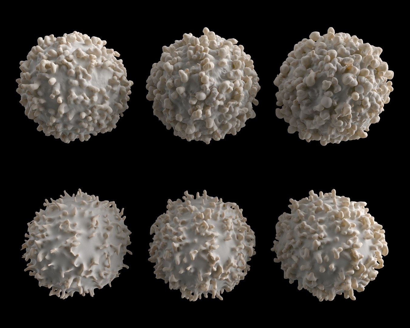 3D Blood Leukocyte Cells - TurboSquid 1386206
