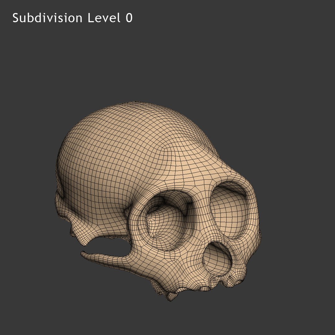 Skull Monkey 3d Model