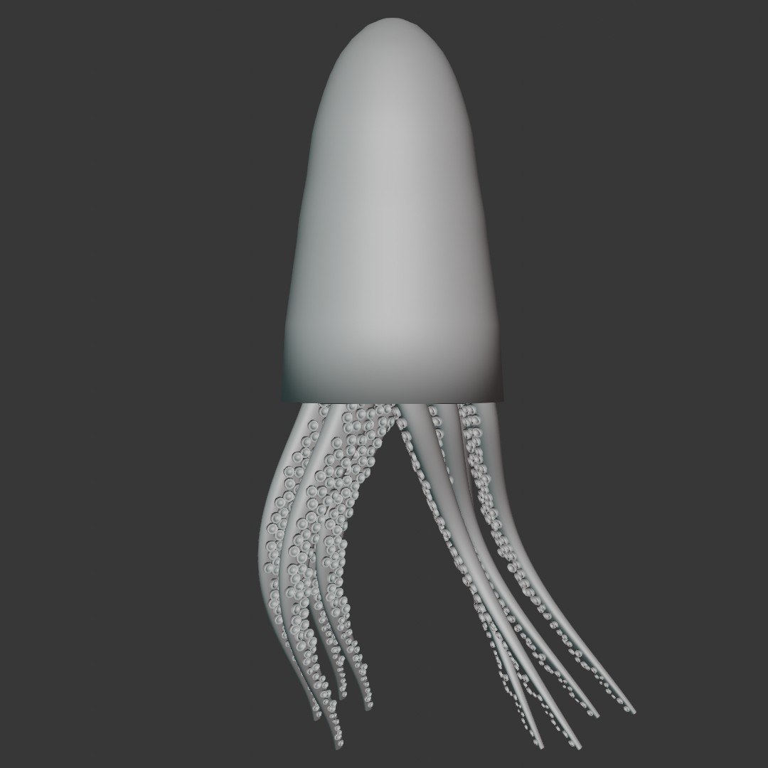 Squid animals 3D model - TurboSquid 1622391