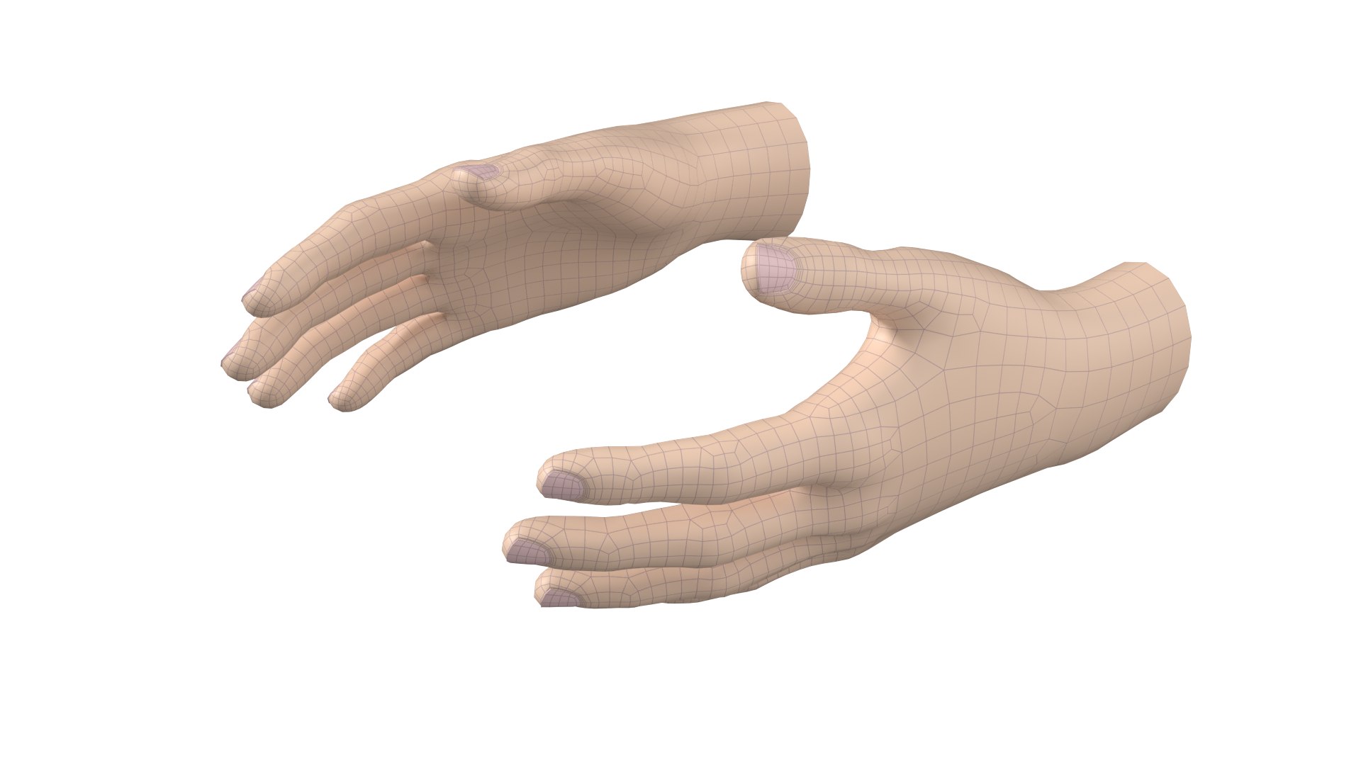 3D Model Female Hand Base Mesh 02 - TurboSquid 2182137