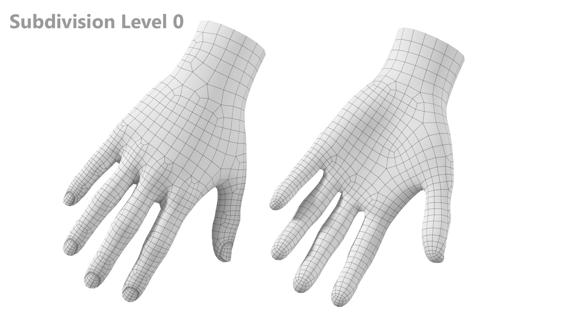 3D Model Female Hand Base Mesh 02 - TurboSquid 2182137