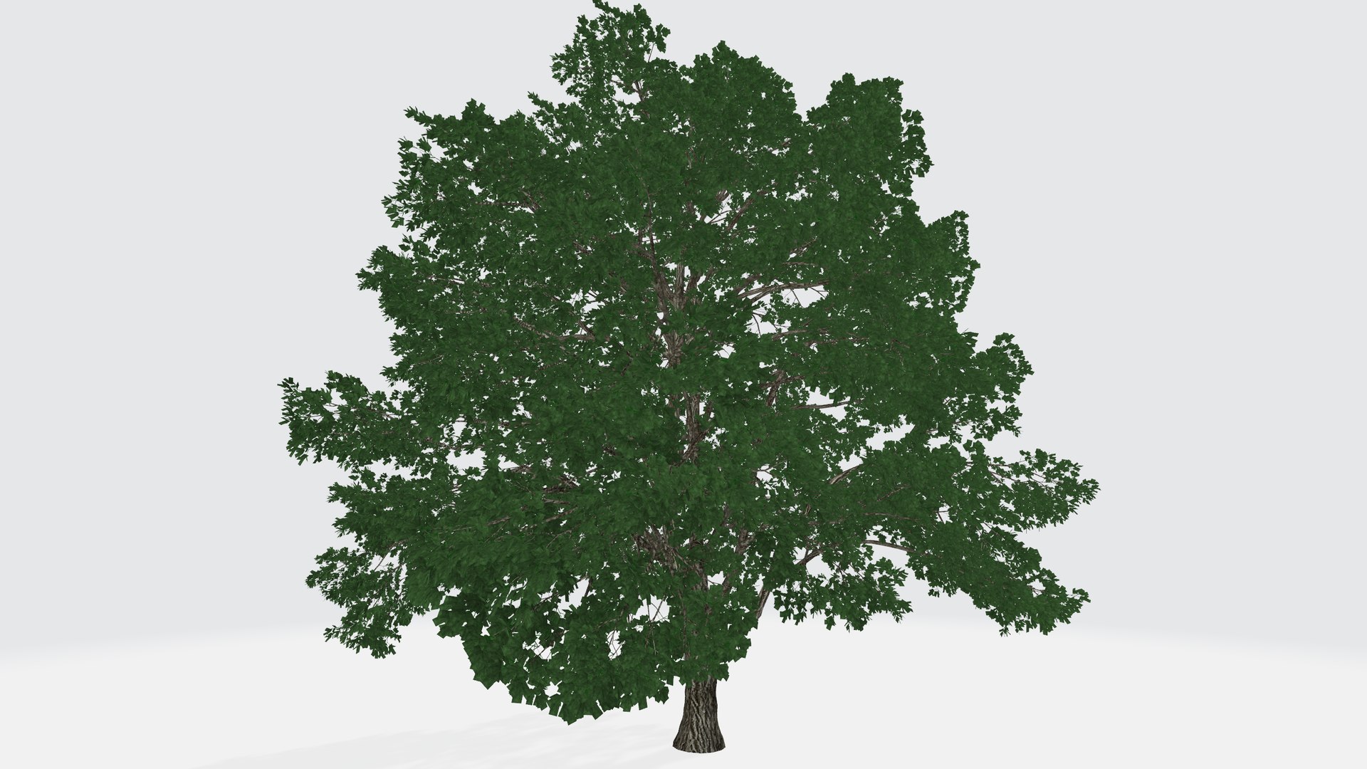 3D Large tree - TurboSquid 1955959