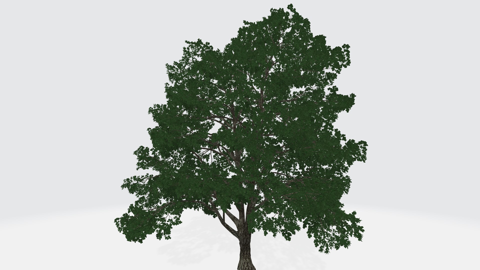 3D Large tree - TurboSquid 1955959