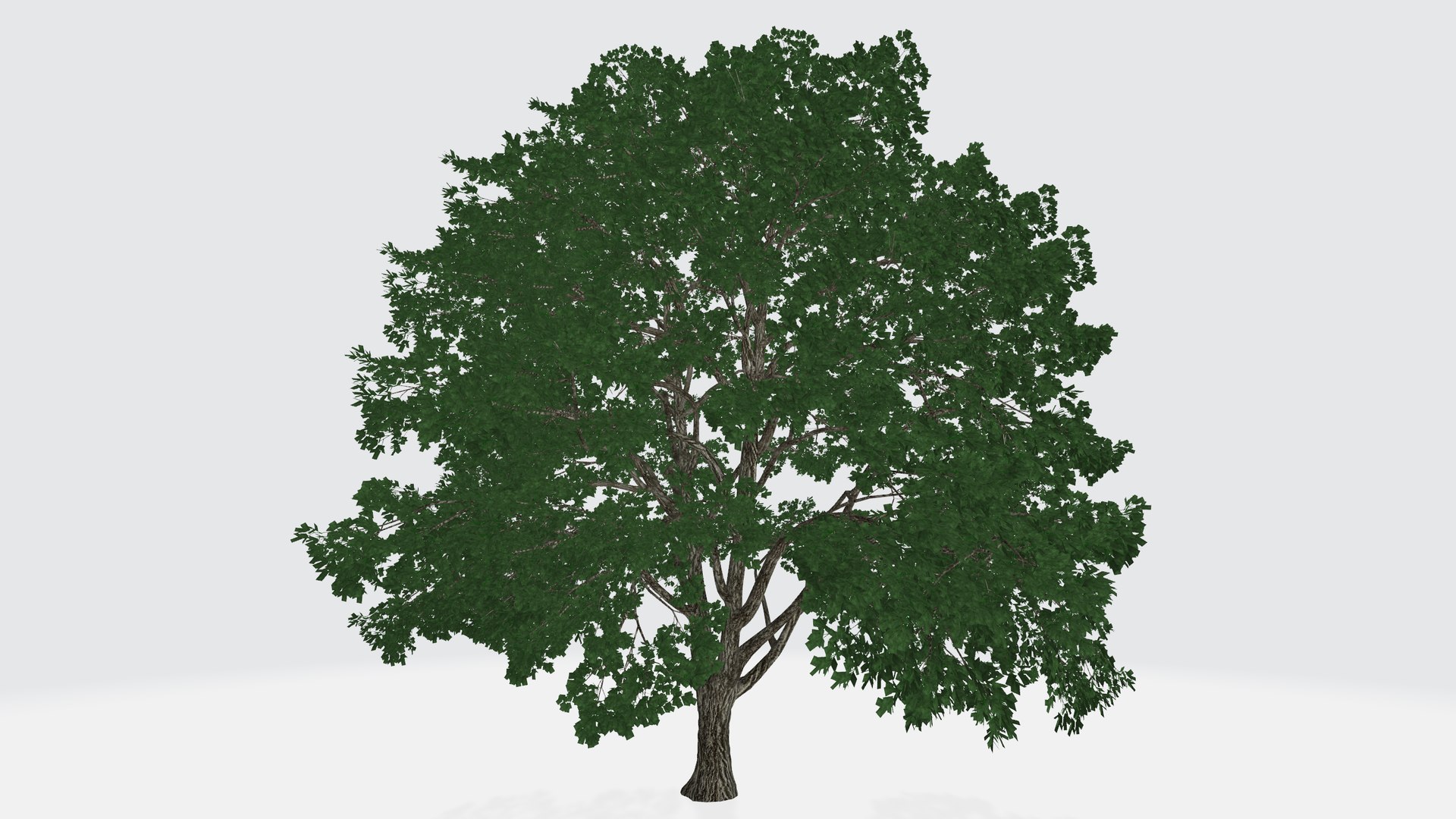 3D Large tree - TurboSquid 1955959