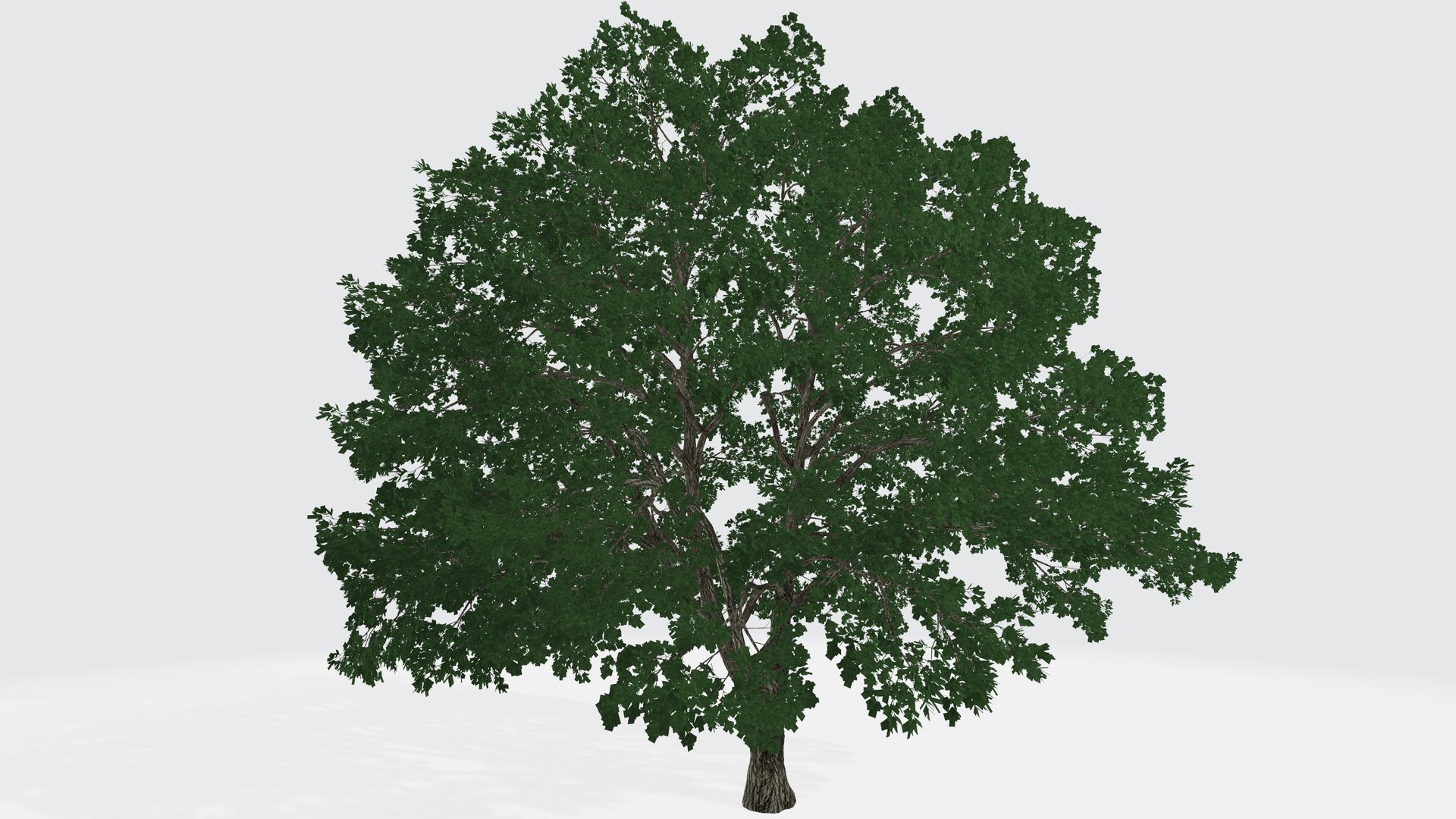 3D Large tree - TurboSquid 1955959