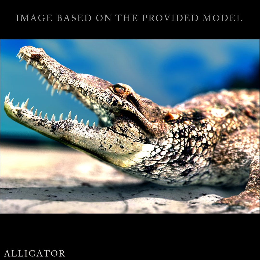 3d Realistic Alligator