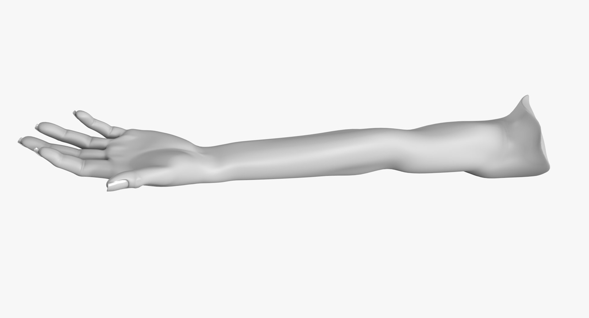 Arm 3D Model - TurboSquid 1298636