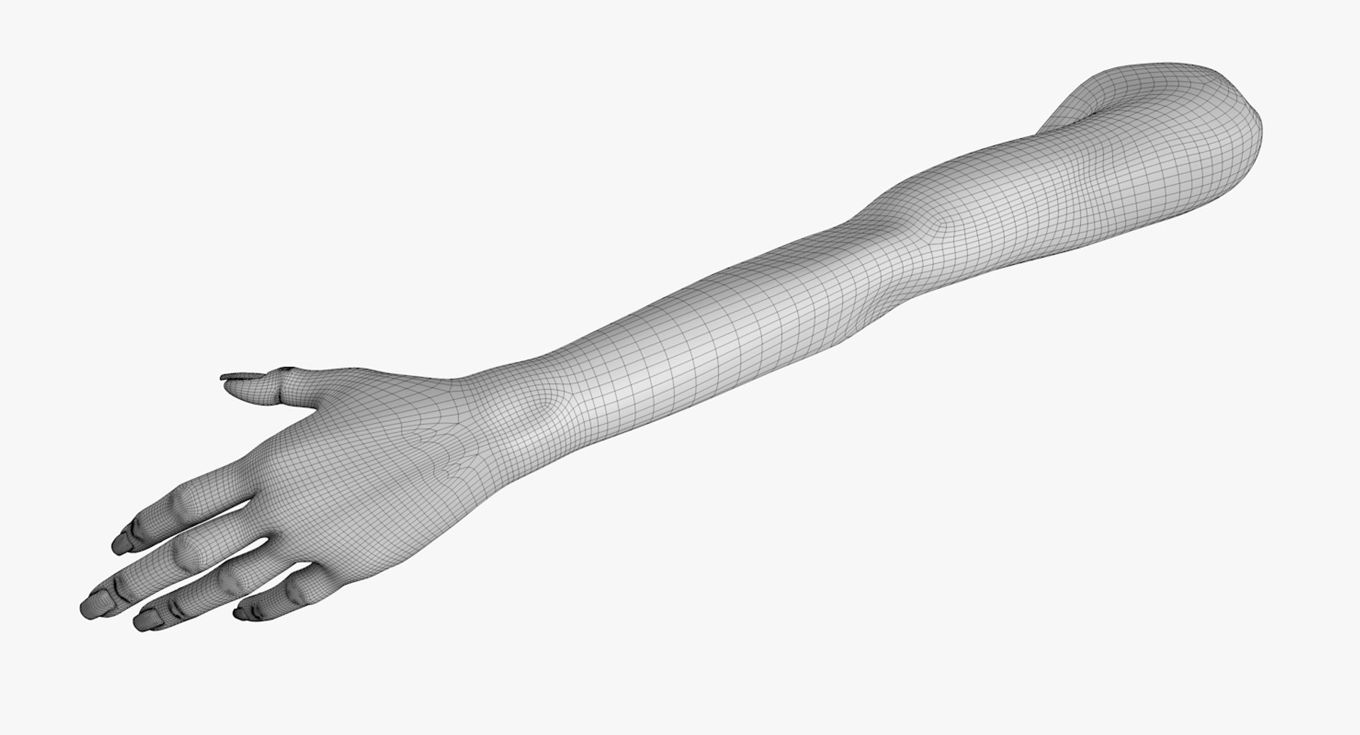 Arm 3D model - TurboSquid 1298636