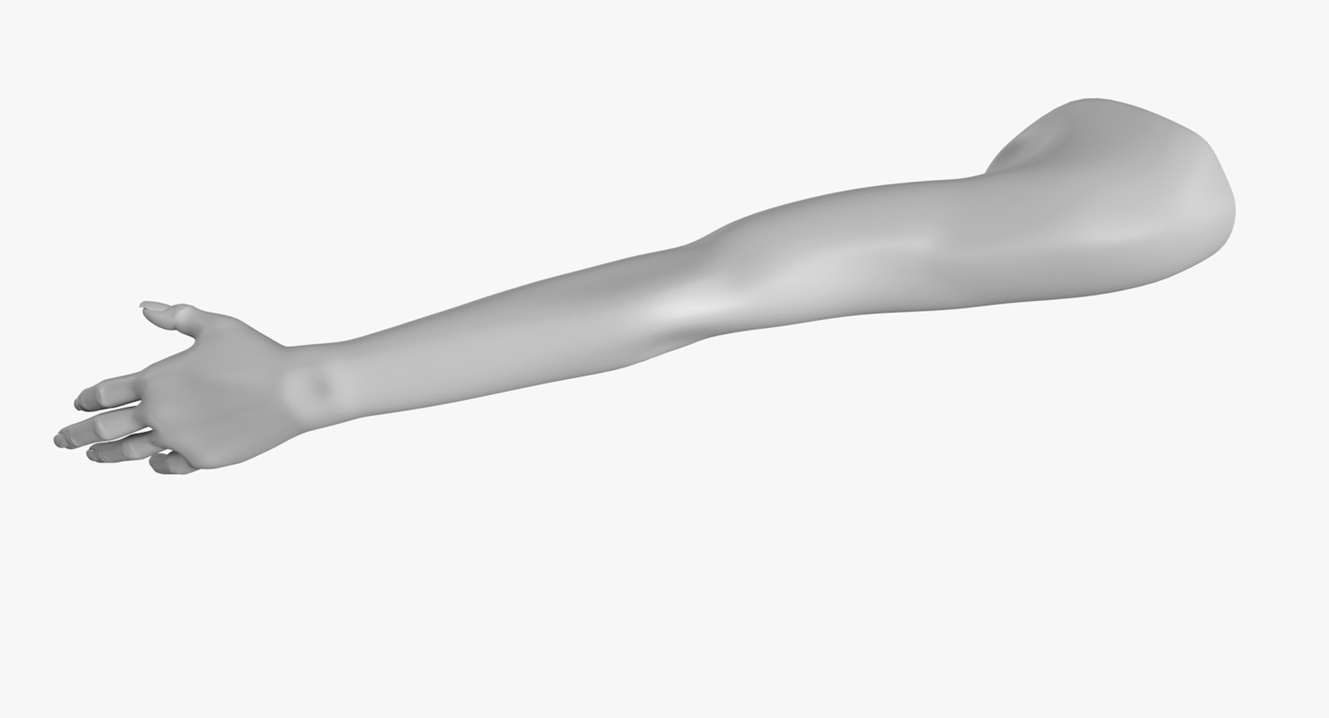 Arm 3D Model - TurboSquid 1298636