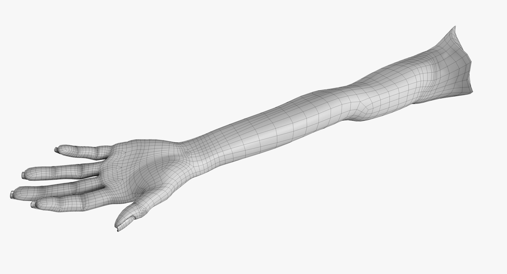 Arm 3D model - TurboSquid 1298636