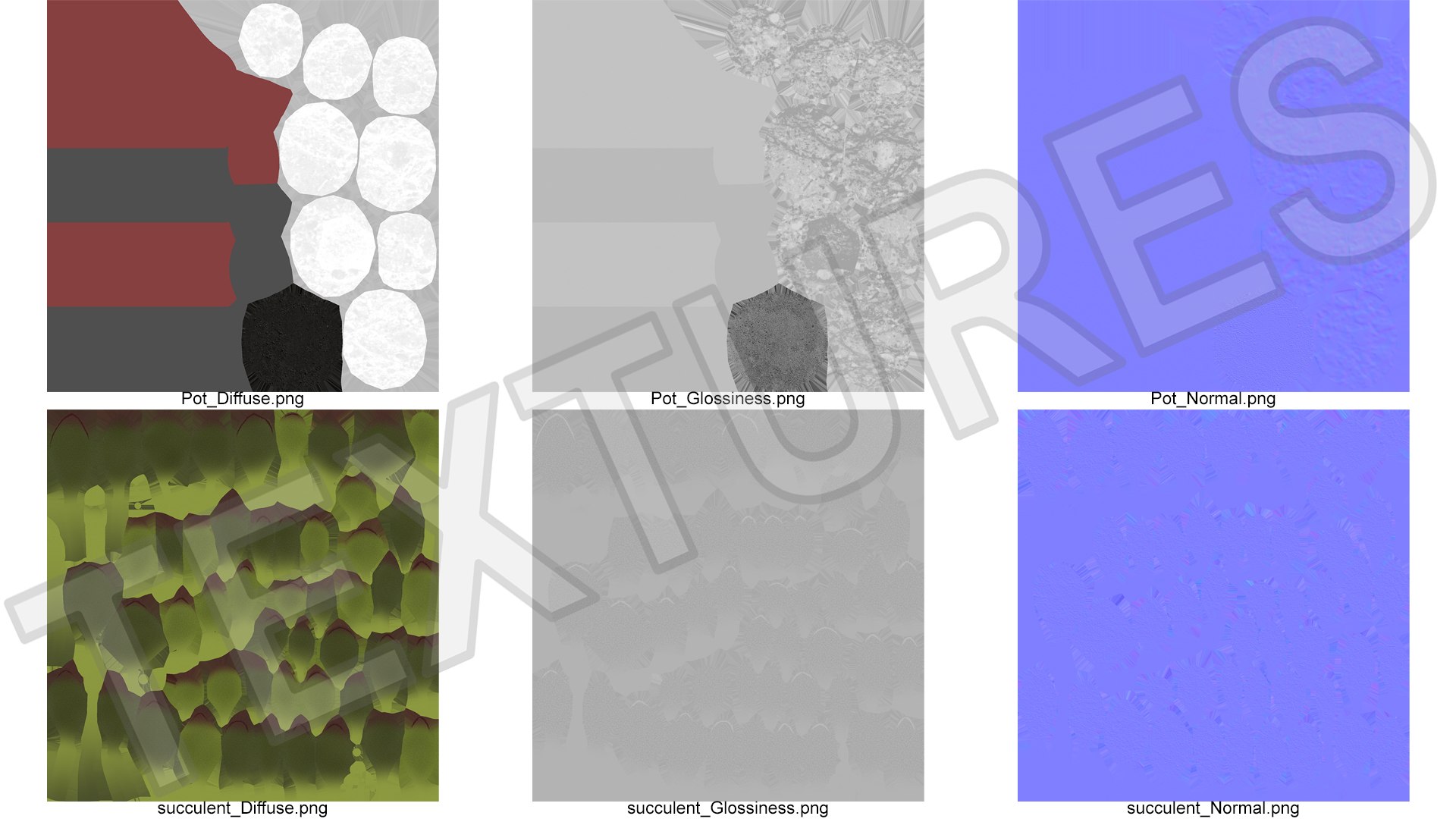 Jade Plant 3D Model - TurboSquid 1955976