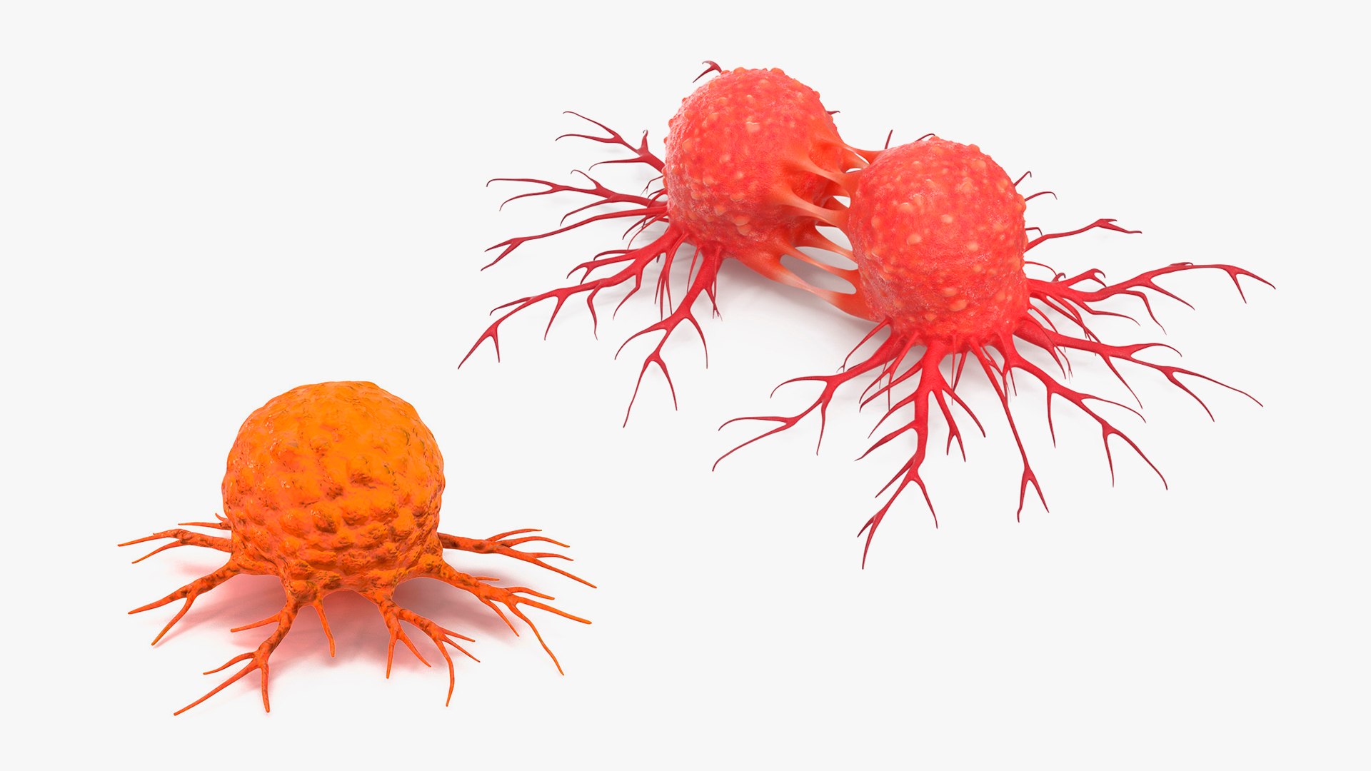 3D Model Abnormal Cells Collection - TurboSquid 2298927