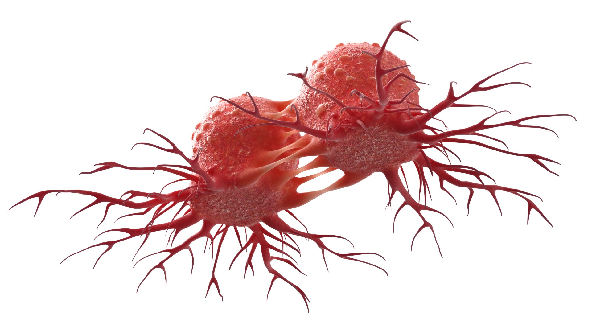 3D Model Abnormal Cells Collection - TurboSquid 2298927