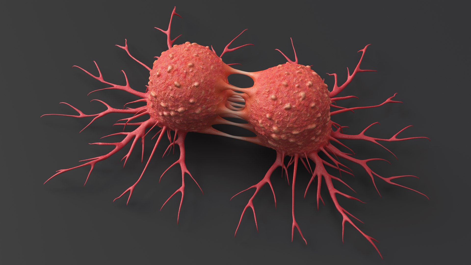 3D Model Abnormal Cells Collection - TurboSquid 2298927
