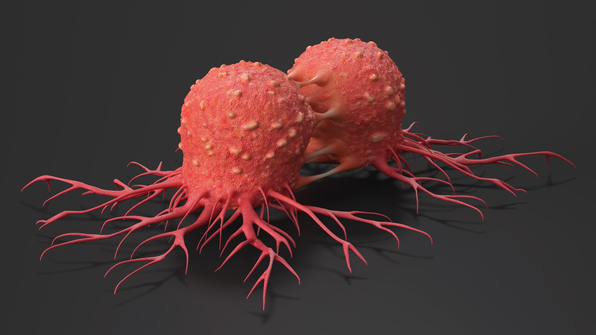 3D Model Abnormal Cells Collection - TurboSquid 2298927