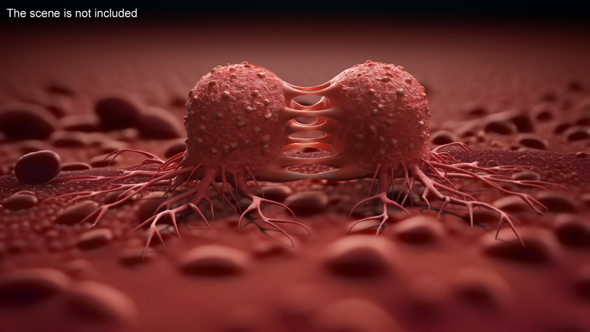 3D Model Abnormal Cells Collection - TurboSquid 2298927