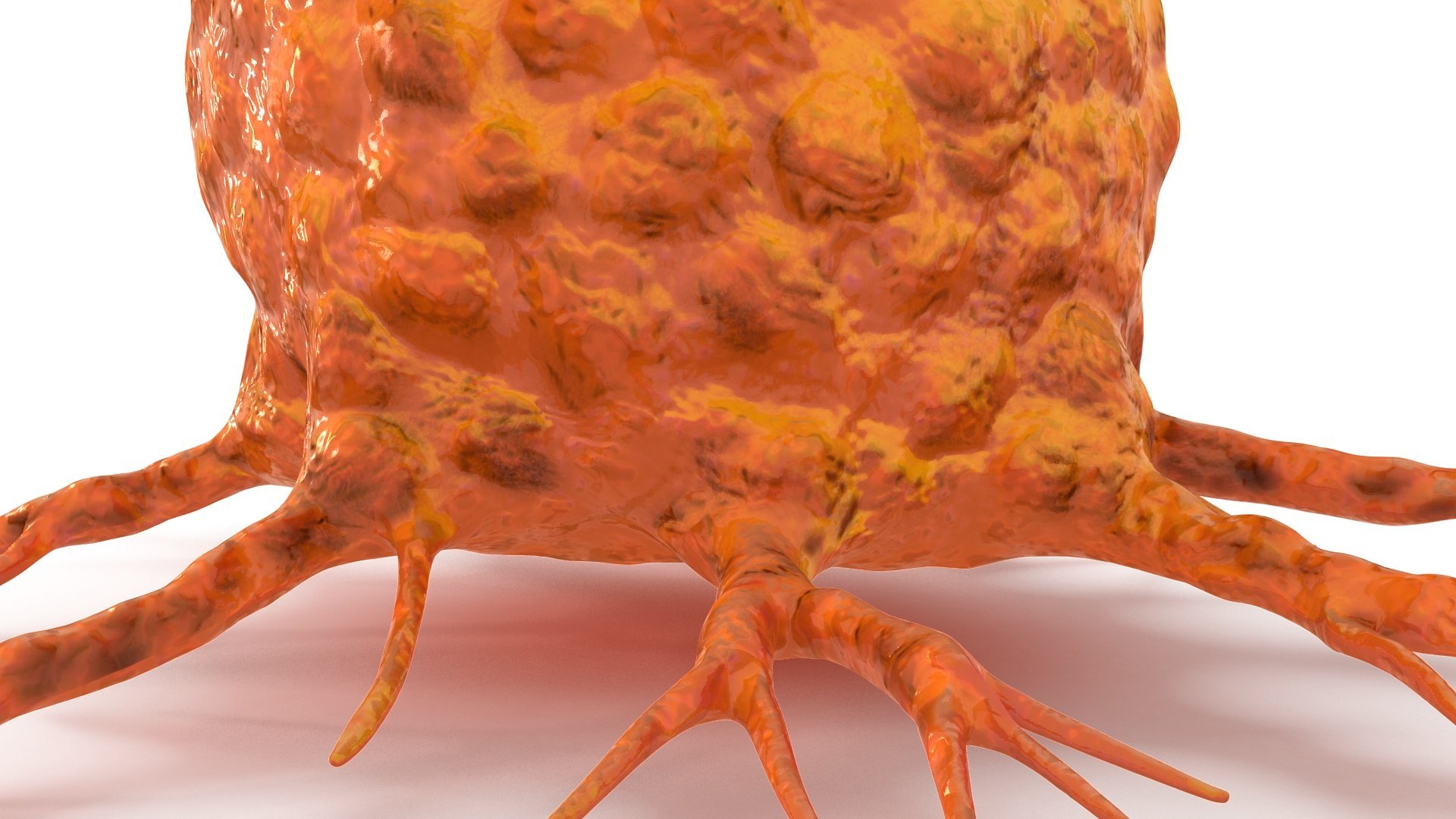 3D Model Abnormal Cells Collection - TurboSquid 2298927