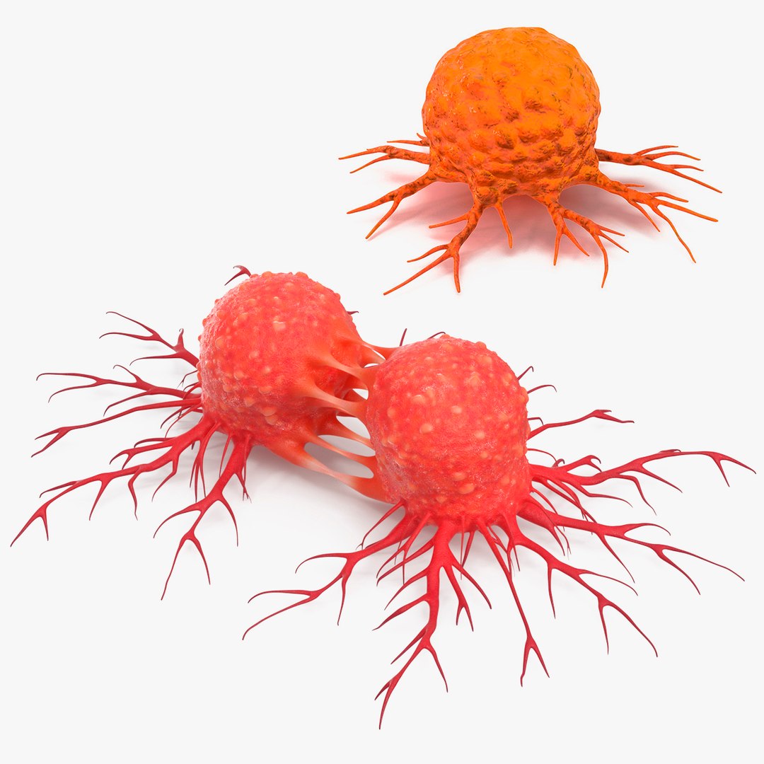 3D Model Abnormal Cells Collection - TurboSquid 2298927