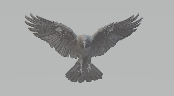 modelo 3d Crow 3D Model raven flying in air - TurboSquid 2102316