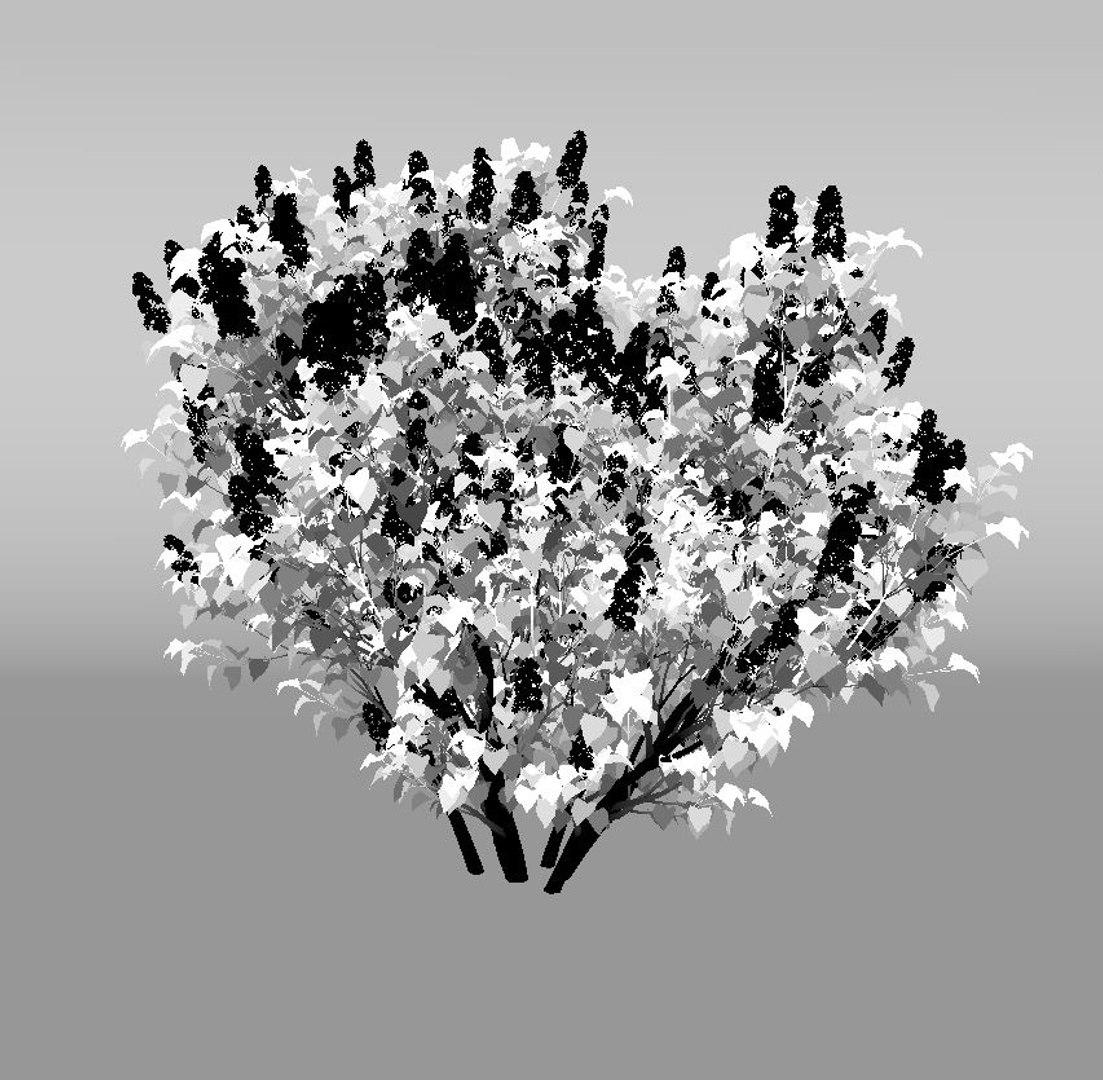 Lilac Model - TurboSquid 1225330