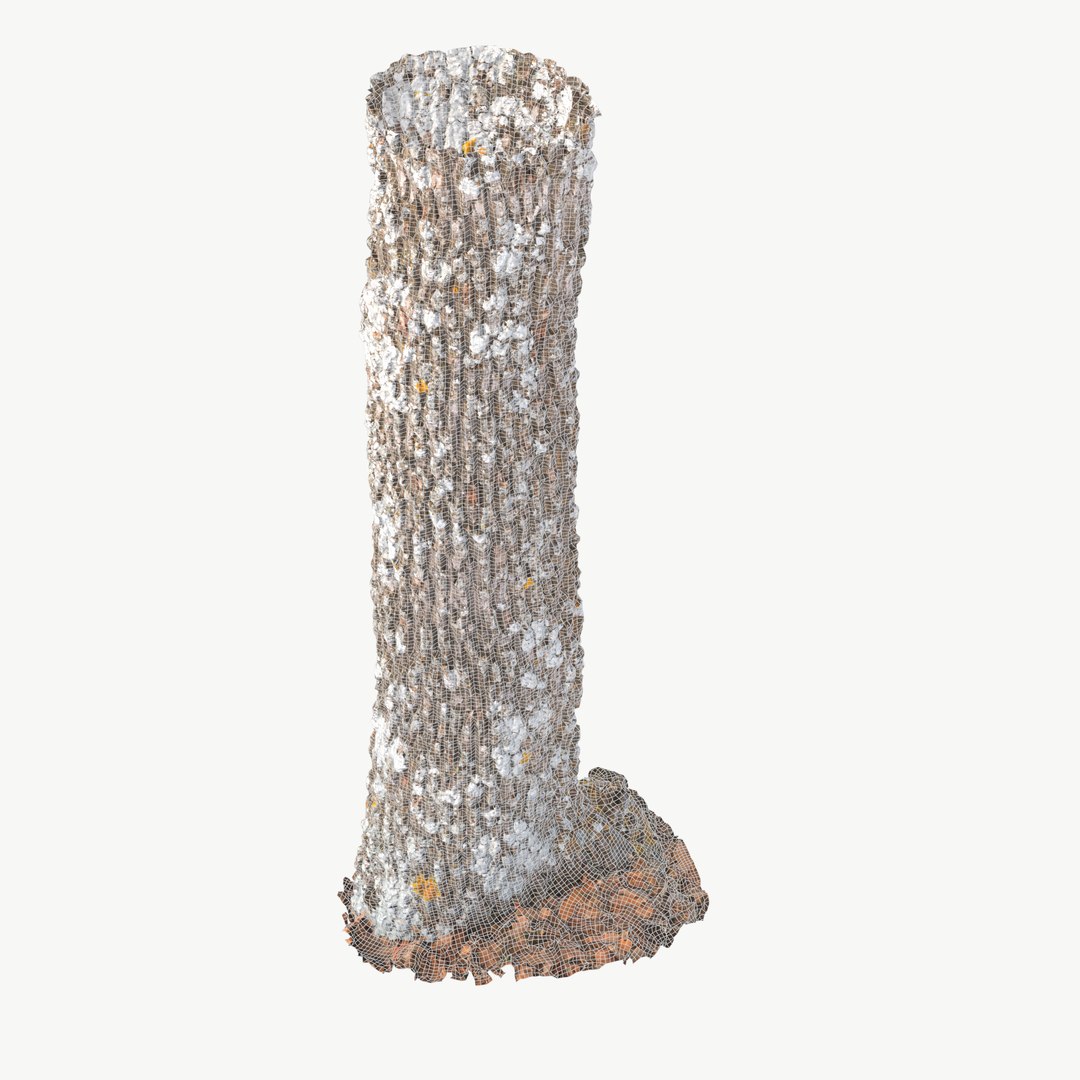 High Quality Scan Pubescent Oak Trunk - 1 3D - TurboSquid 2207984