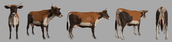 3D cattle model - TurboSquid 1749720