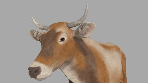 3D cattle model - TurboSquid 1749720