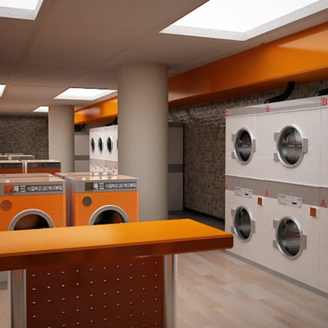 Public Laundry 3d Max
