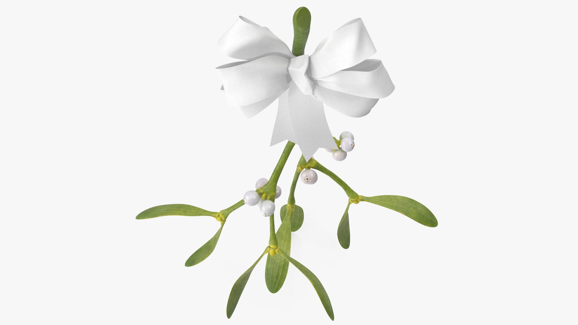 Mistletoe 2 with White Bow 3D model - TurboSquid 1806458