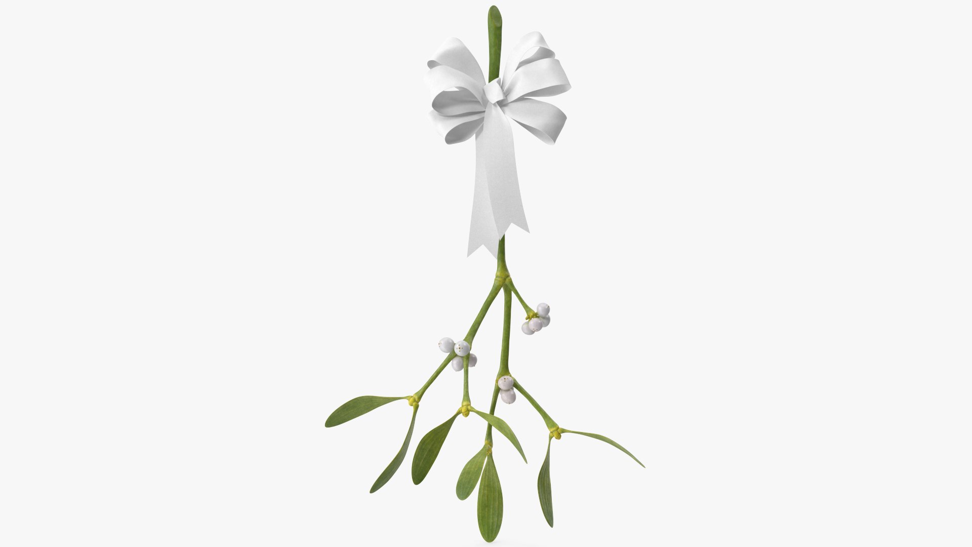 Mistletoe 2 with White Bow 3D model - TurboSquid 1806458