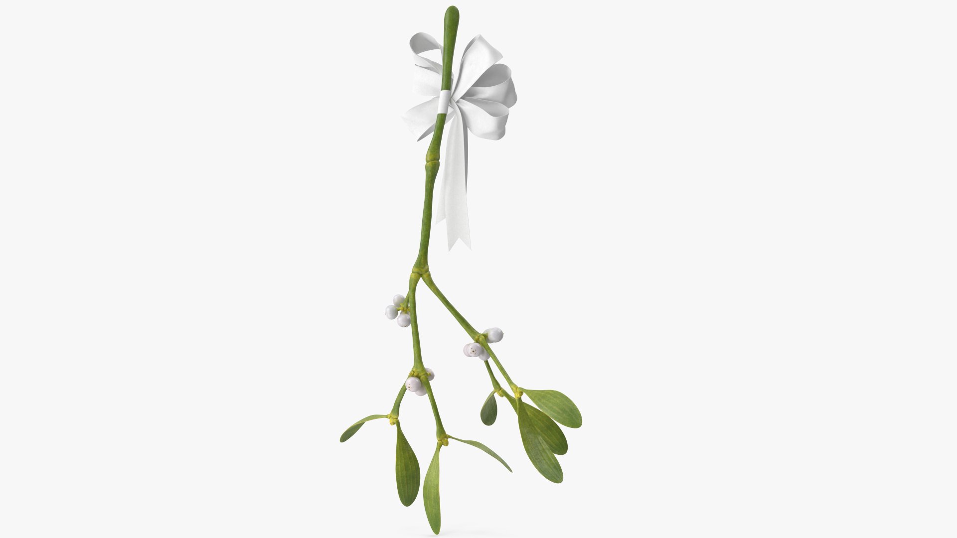 Mistletoe 2 with White Bow 3D model - TurboSquid 1806458