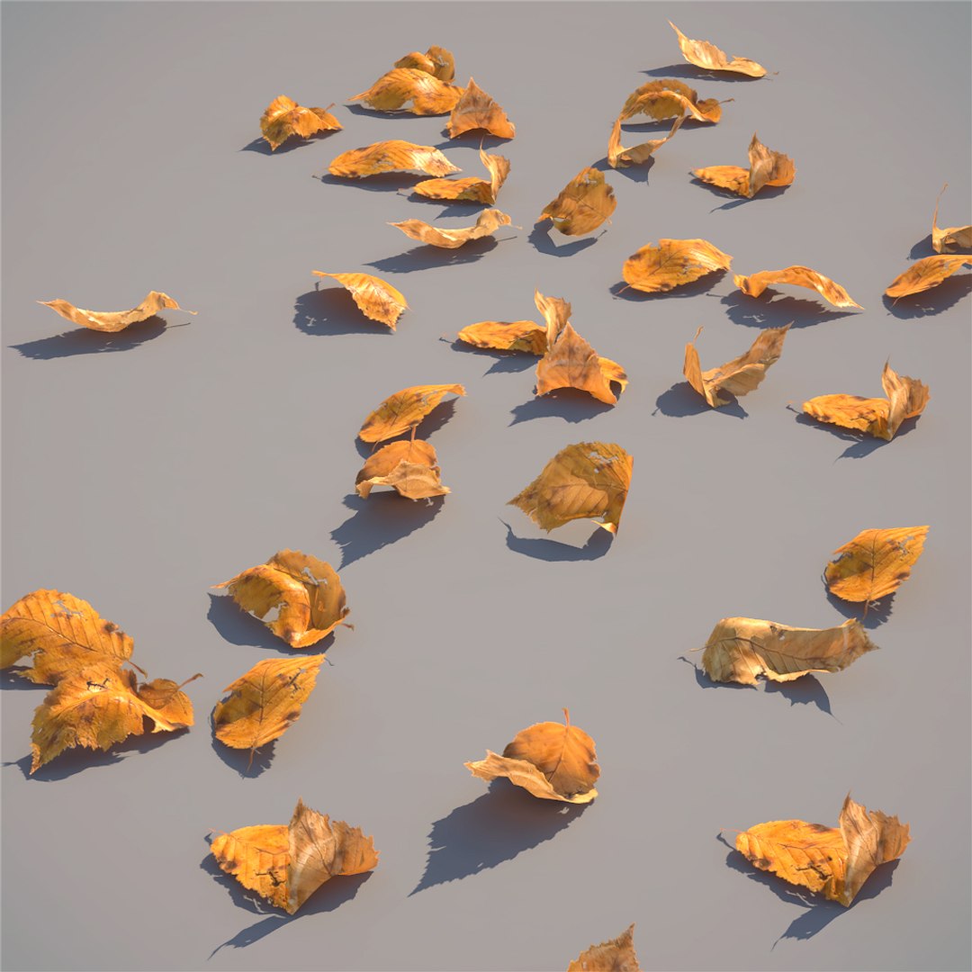 3d Autumn Leaves